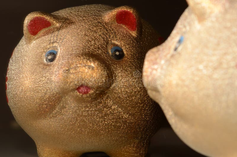 176 Mirror Pig Stock Photos - Free & Royalty-Free Stock Photos from ...