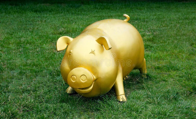 Golden pig stock photo. Image of studio, happy, cute - 41830940