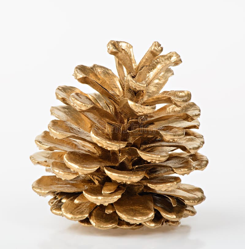 Golden Pine cone stock photo. Image of fluffy, pine, holiday - 27144840