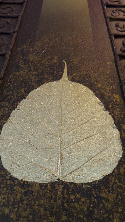 Golden Po leaf stock image. Image of frame, leaf, design - 51813947