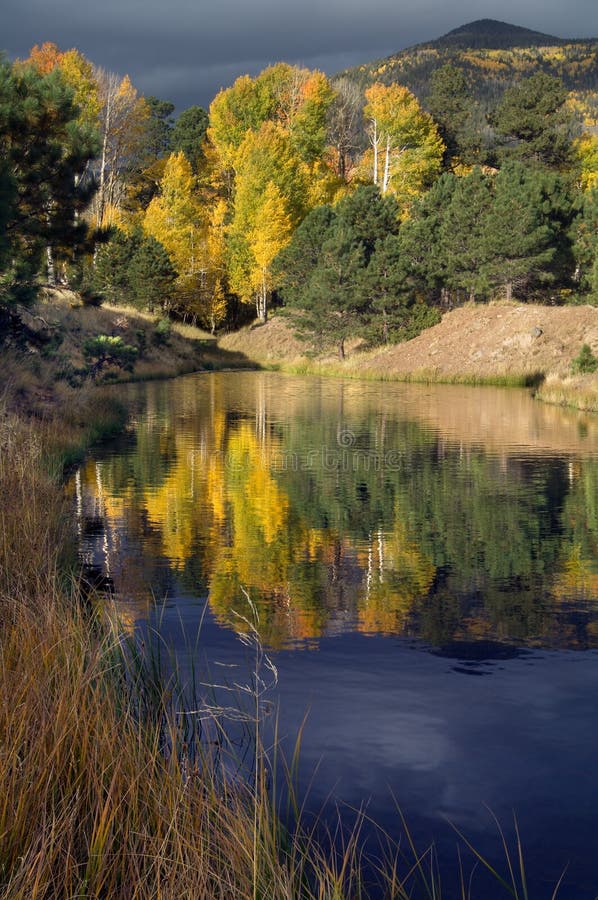 Golden Pond stock image. Image of discover, pine, foliage - 3389217