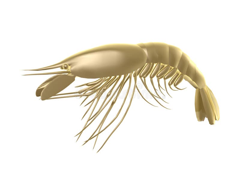 Golden 3d Prawn Icon Isolated on White Background Stock Illustration ...