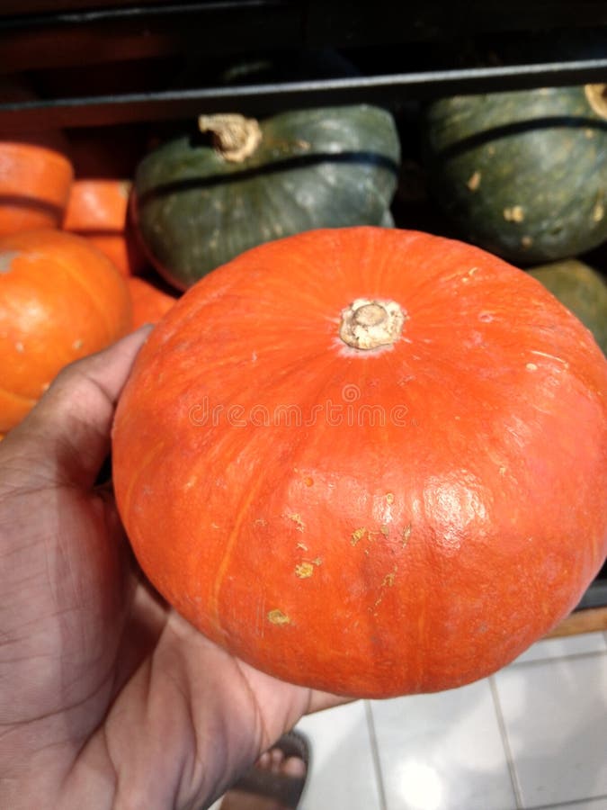 Golden Pumpkin or Mini Pumpkin Stock Photo - Image of natural, pumpkin ...