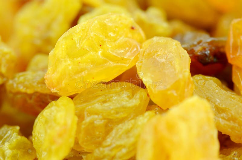 Golden Raisins. stock image. Image of organic, herb, nutrition - 26739079