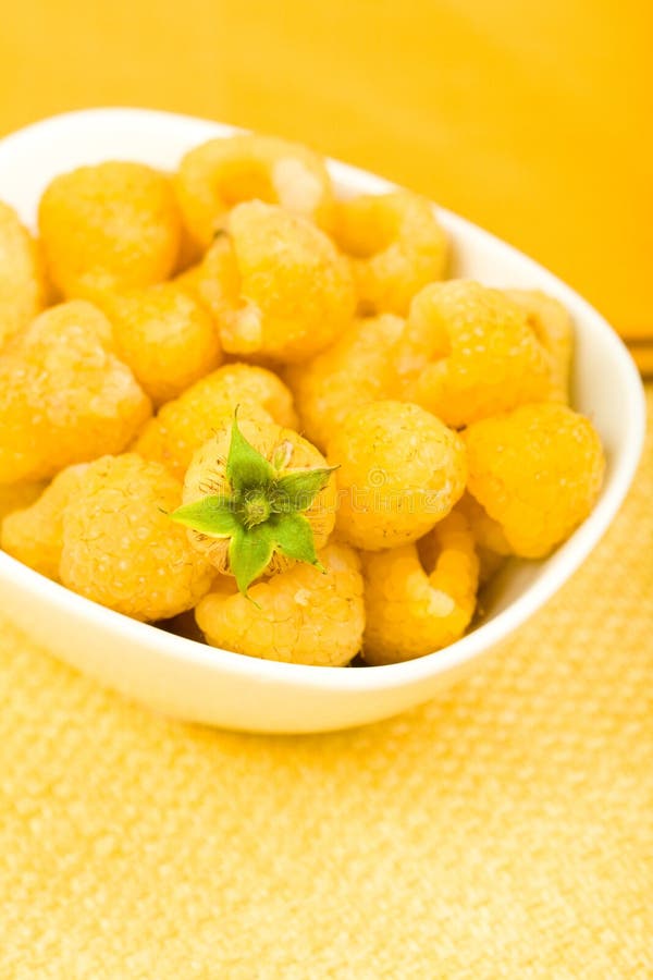 Golden Raspberries stock image. Image of white, porcelain - 11131393