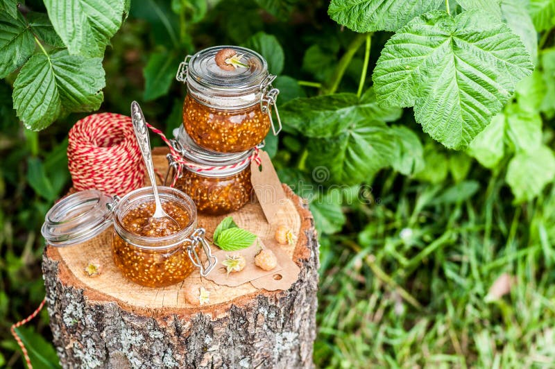 Golden Raspberry Jam stock photo. Image of golden, food - 122669810