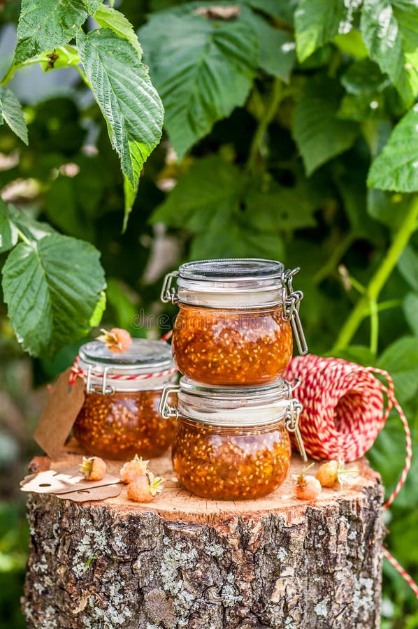 Golden Raspberry Jam stock image. Image of leaf, food - 122426883