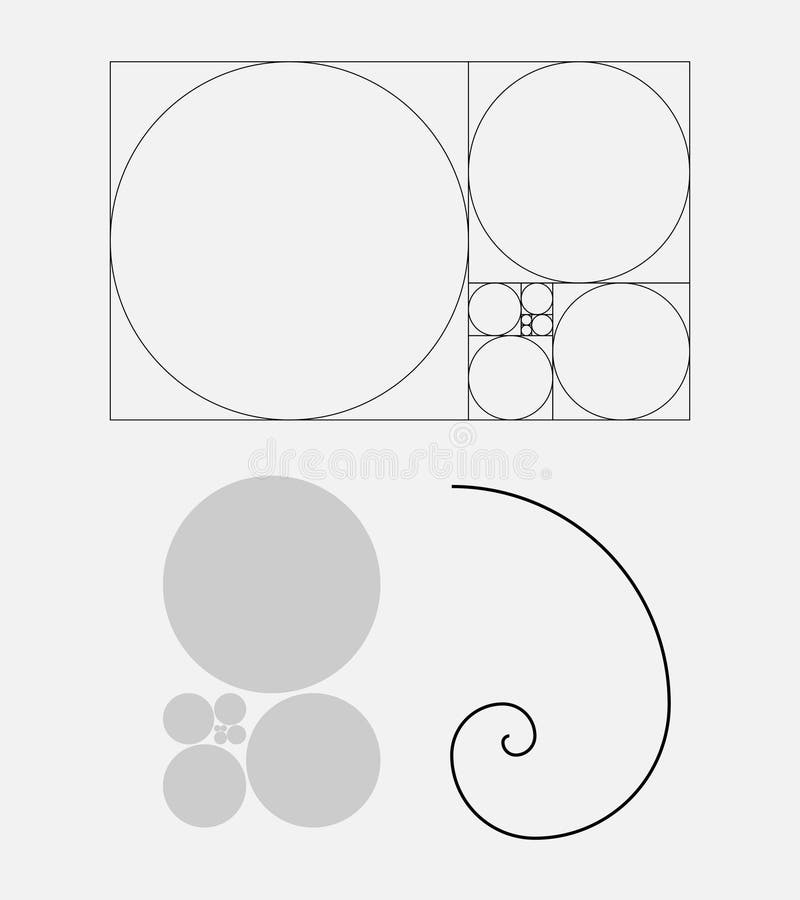 Golden Ratio Proportions Vector Stock Vector - Illustration of ratio ...