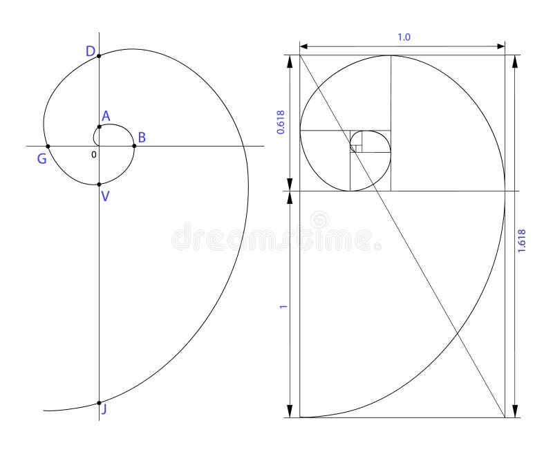 Golden Ratio Stock Illustrations – 3,750 Golden Ratio Stock ...