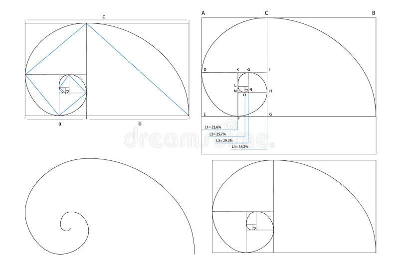 Golden ration stock vector. Illustration of design, scheme - 98078306