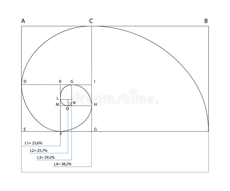 Golden ration stock vector. Illustration of design, scheme - 98078306