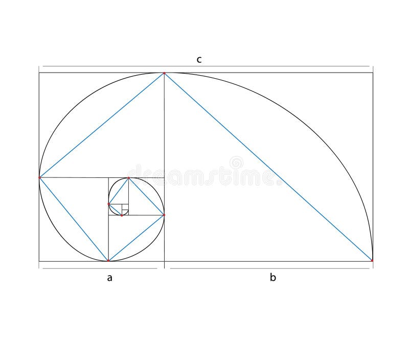 Golden ration stock vector. Illustration of geometry - 98078405
