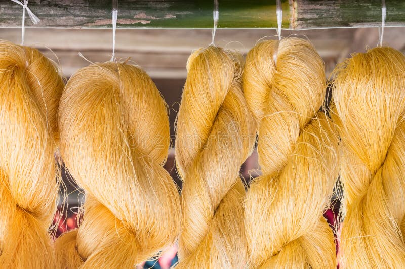 Golden raw silk stock image. Image of organic, culture - 68353283