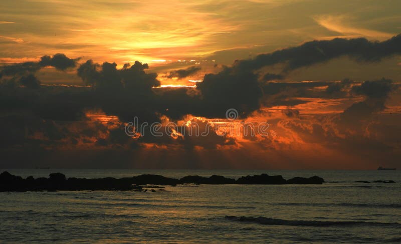 Forest with sun rays. stock photo. Image of park, environment - 99032238