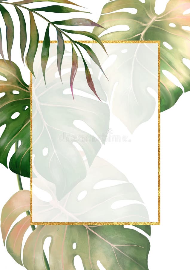 Monstera Circle Border Stock Illustrations – 724 Monstera Circle Border ...