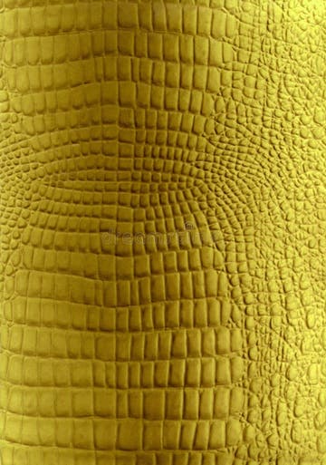 366 Gold Snakeskin Texture Stock Photos - Free & Royalty-Free Stock ...