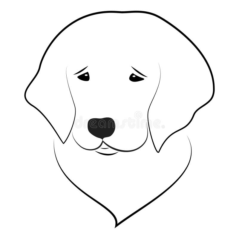 Golden Retriever Drawings Simple