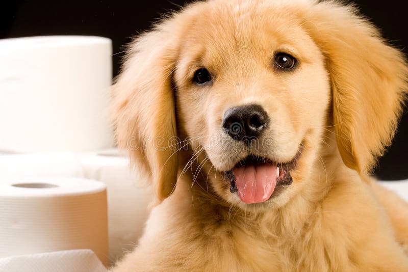 Girl Poop Boy Face Stock Photos - Free & Royalty-Free Stock Photos from ...