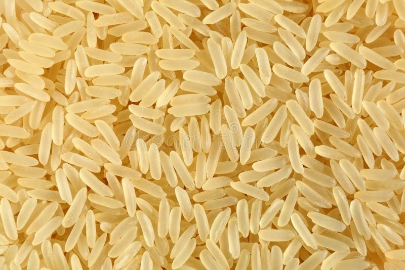 Golden rice stock image. Image of dried, background, depth - 50925307