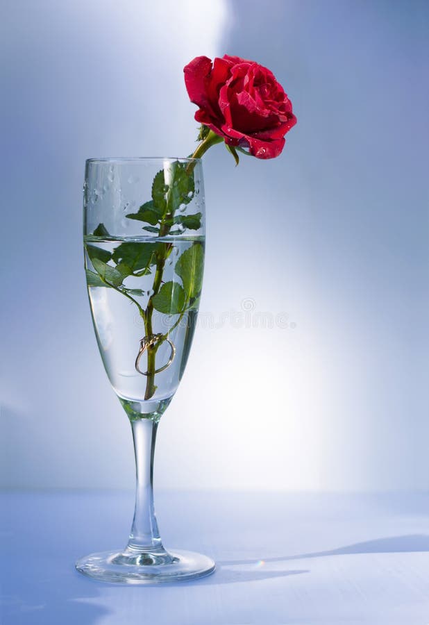 Golden Ring Inside Glass Rose Stock Photos - Free & Royalty-Free Stock ...