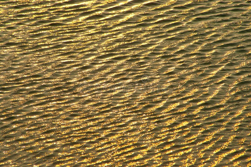 Golden ripple water stock photo. Image of golden, ripples - 42245090