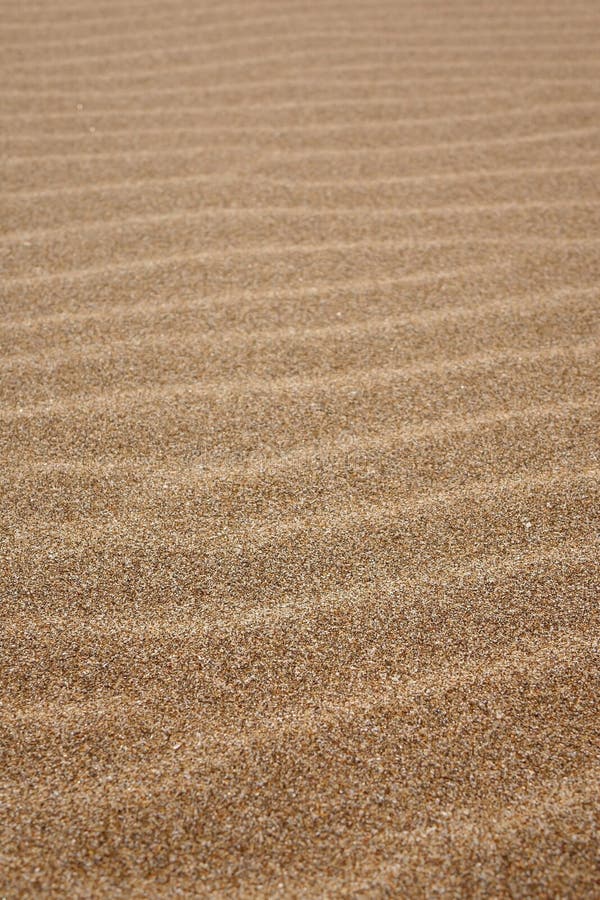 Ripples in the Sand Create Patterns and Textures in the Sand Dunes ...