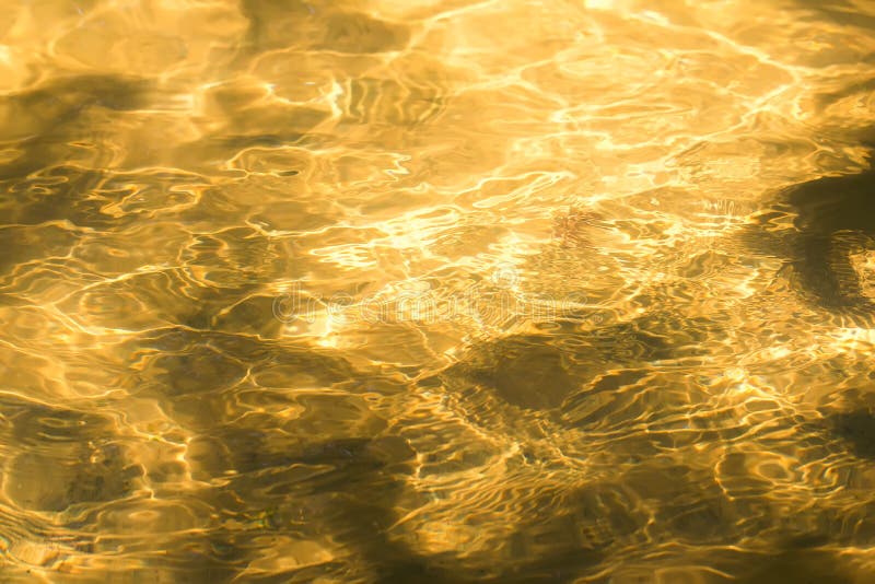 A Golden River in Shallow Water, Ripples and Current Texture Stock ...