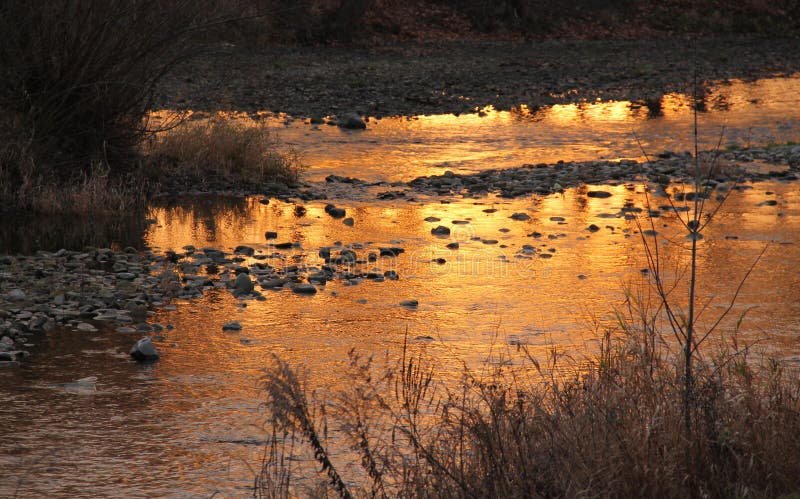 Golden river stock photo. Image of nature, beautiful - 63651452