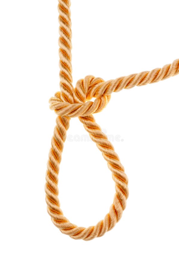 Rope noose stock image. Image of punishment, strangle - 6906641
