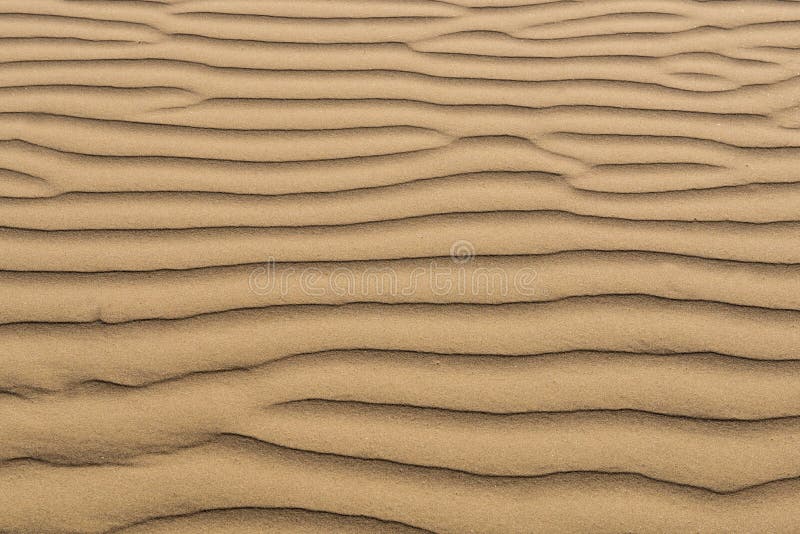 Golden sand background stock image. Image of natural - 55796365