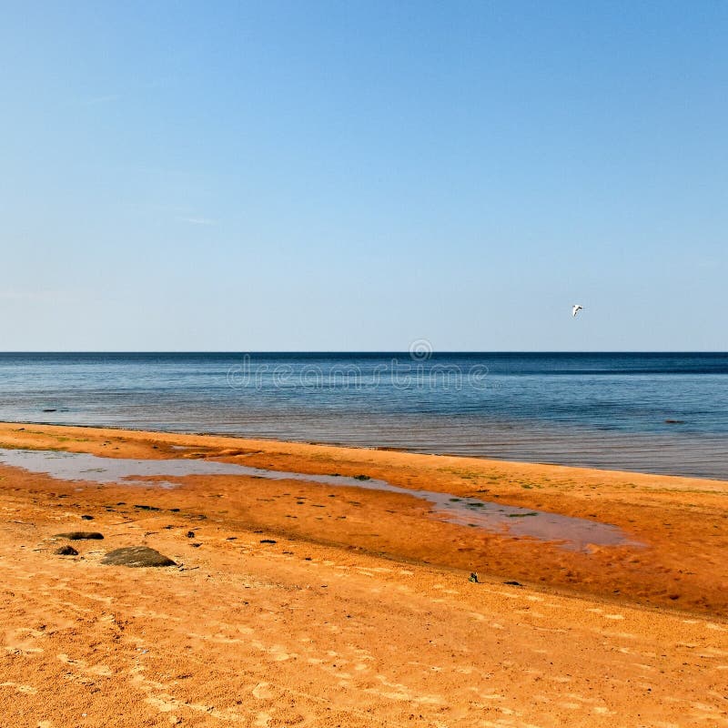 Golden sand beach. stock photo. Image of abstract, ocean - 32012464