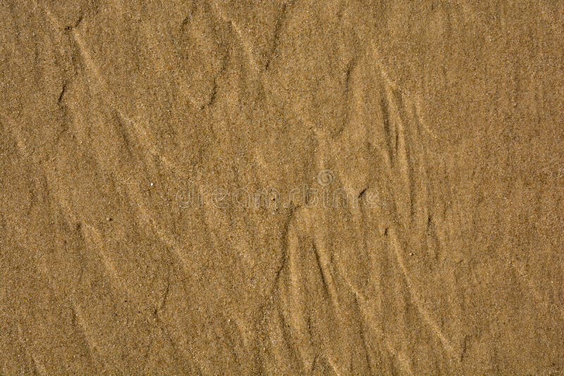 Golden Sand on the Beach Close-up Texture for Background or Wallpaper ...