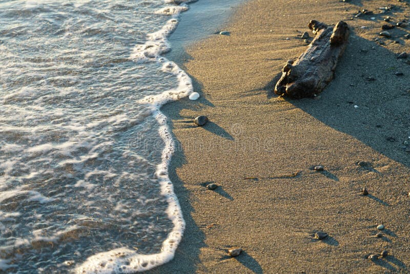 Golden Sand Beach Reflection Stock Image - Image of nice, sand: 227237337