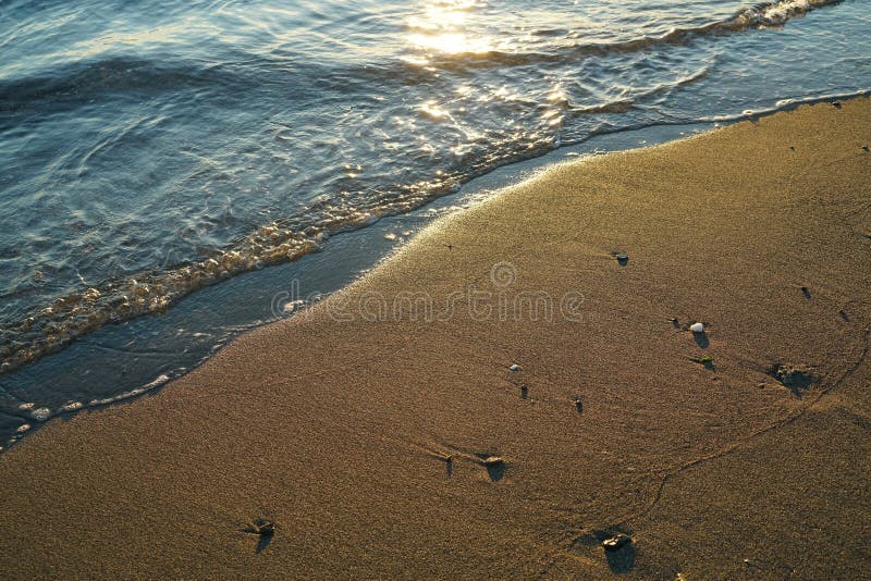 Golden Sand Beach Reflection Stock Photo - Image of nice, wave: 227237438