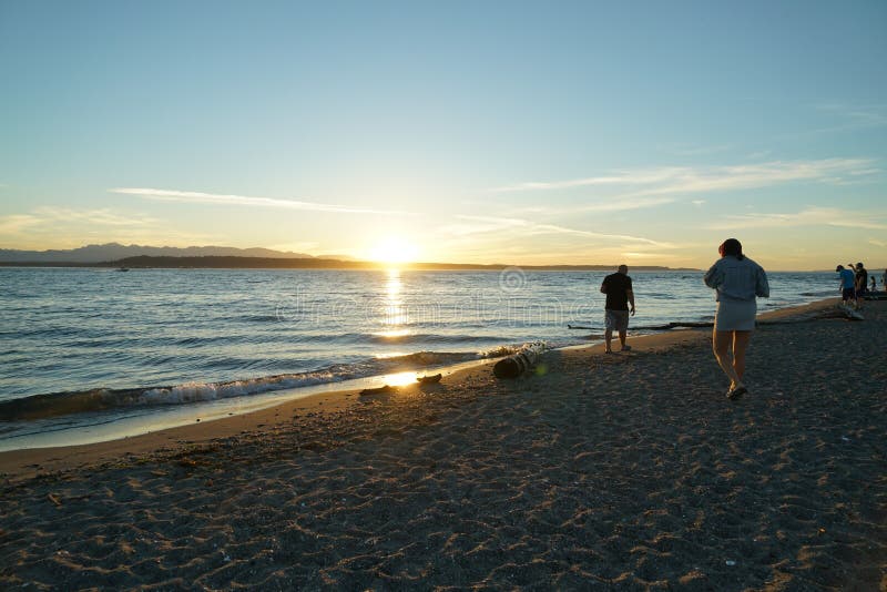 Golden sand beach sunset editorial photography. Image of gold - 227236832