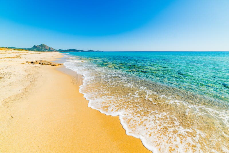 Golden sand in Costa Rei stock photo. Image of sardinia - 90952334