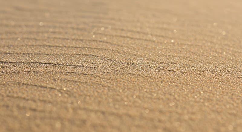 Golden Sand Dune Texture CloseUp of Beach Surface Stock Illustration ...