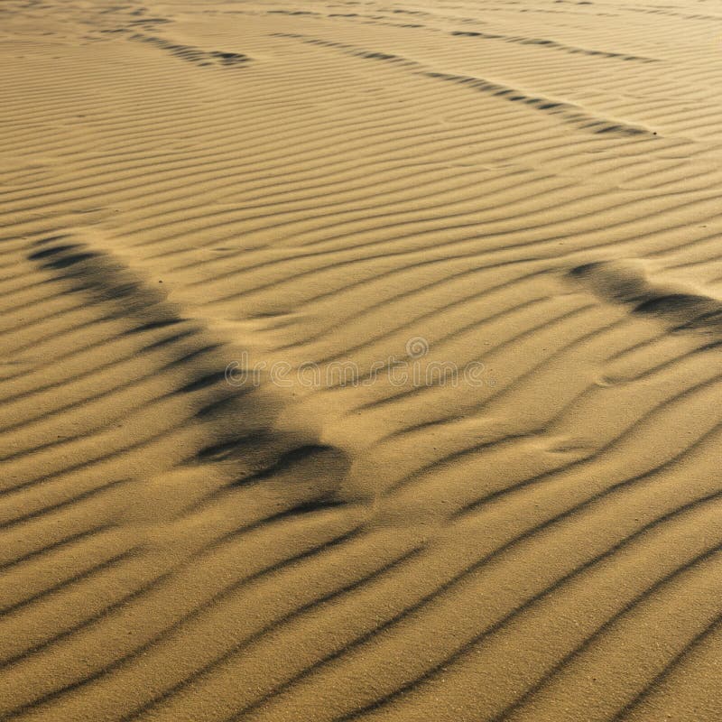 Golden Sand Dunes with Dark Lines and Wind Patterns Stock Illustration ...