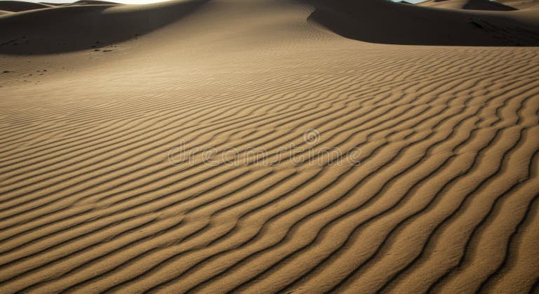 Golden Sand Dunes with Ripple Patterns Under Sunlight Stock ...
