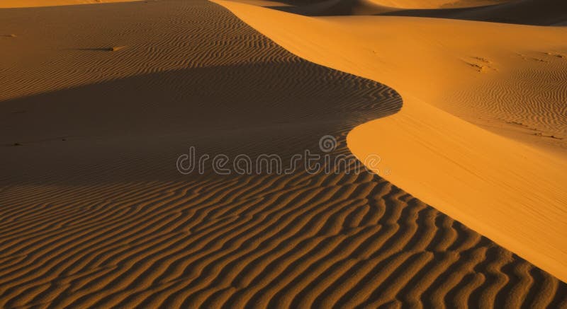 Golden Sand Dunes at Sunset Desert Texture Stock Illustration ...