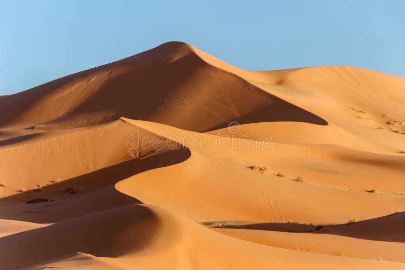 Golden Sand Hill in Sahara Desert Stock Photo - Image of lonely, nature ...