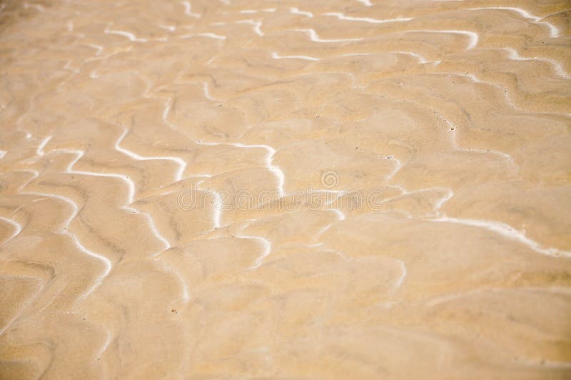 Golden Sand Patterns Form Mesmerizing Designs Under Sunlight on a ...