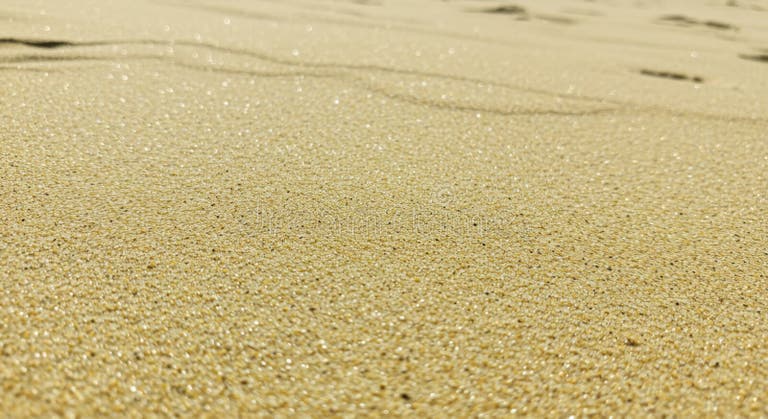 Golden Sand Texture Close Up Beach Background Stock Illustration ...