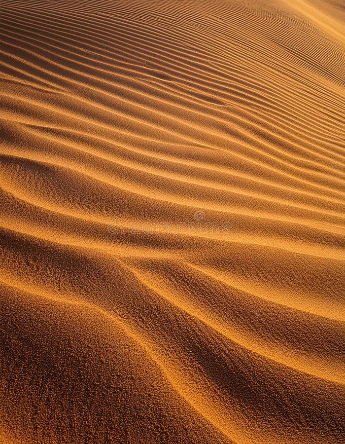 Golden Sand Texture with Soft Lighting Stock Illustration ...