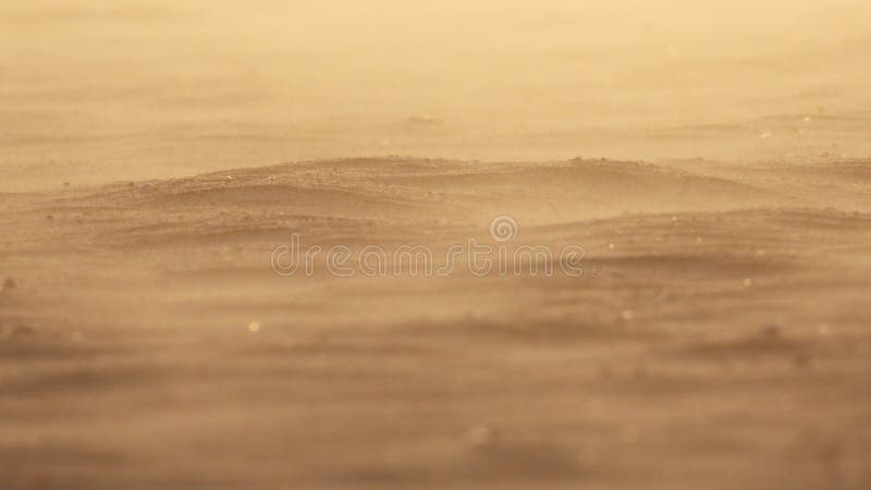 Golden Sand Waves Rippling Under Wind, Revealing Dynamic Landscape ...
