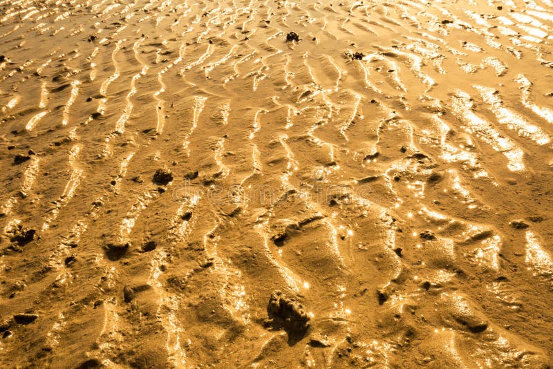 Golden sand stock photo. Image of sunlight, nature, shore - 80180328