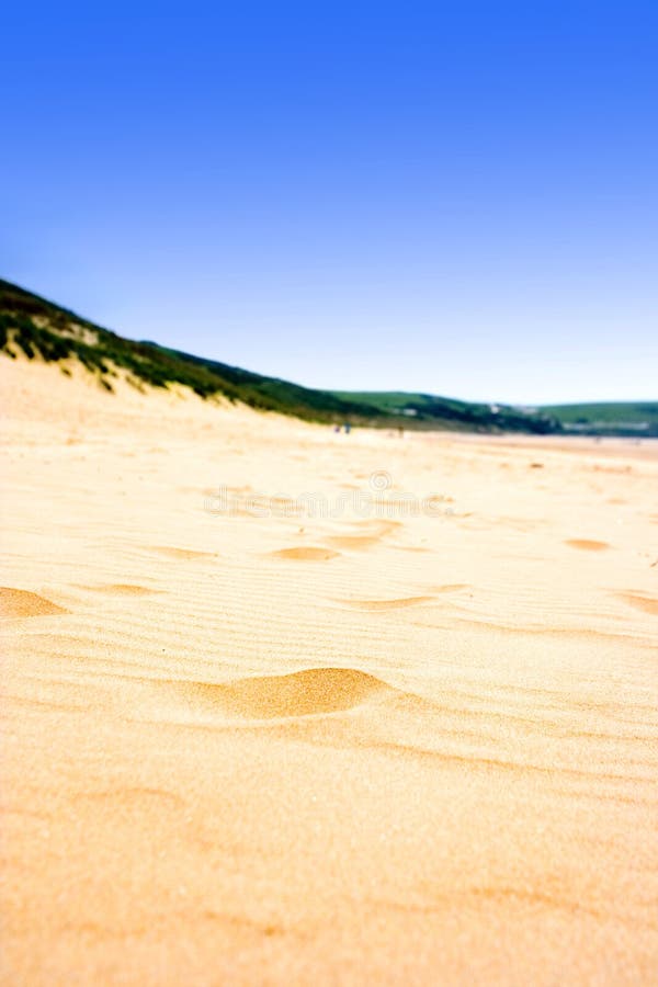 Golden sandy beach stock photo. Image of landscape, natural - 2600904