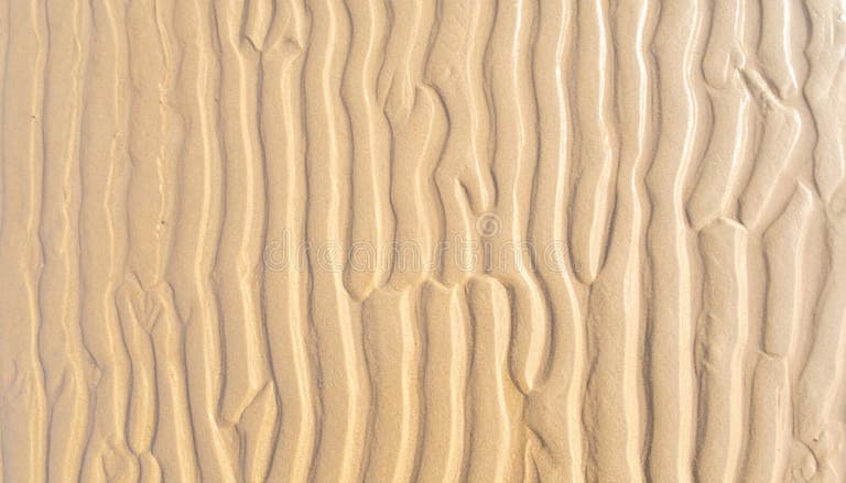 Golden Sandy Beach Texture with Wave Pattern Detailed Natural Seashore Backdrop Stock ...
