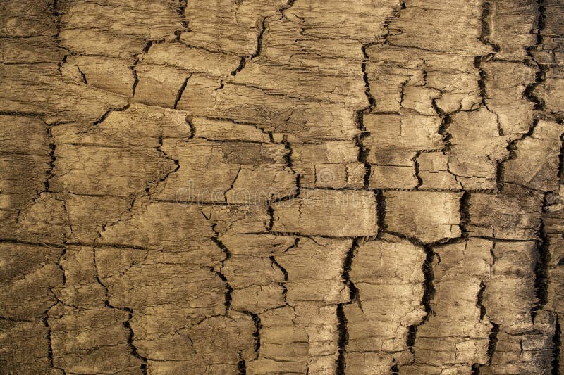 Golden Scorched Texture Surface, Abstract Minimal Backdrop with Copy ...