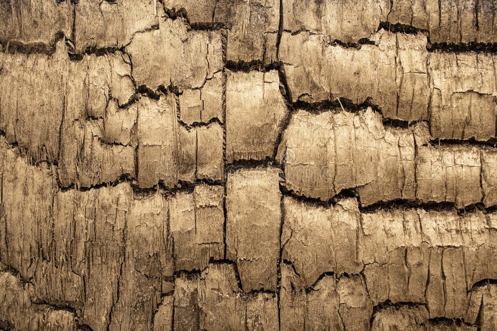 Golden Scorched Texture Surface, Abstract Minimal Backdrop with Copy ...